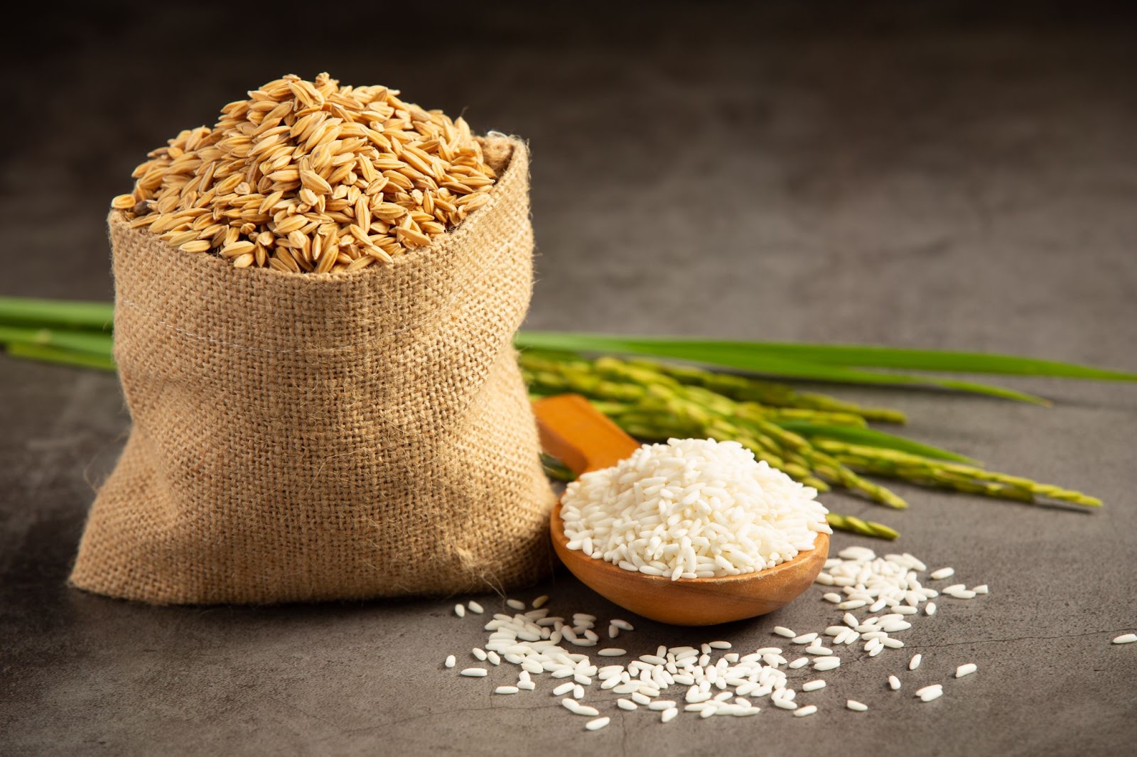 Biryani Basics: A Comprehensive Guide on How to Cook Basmati Rice for ...